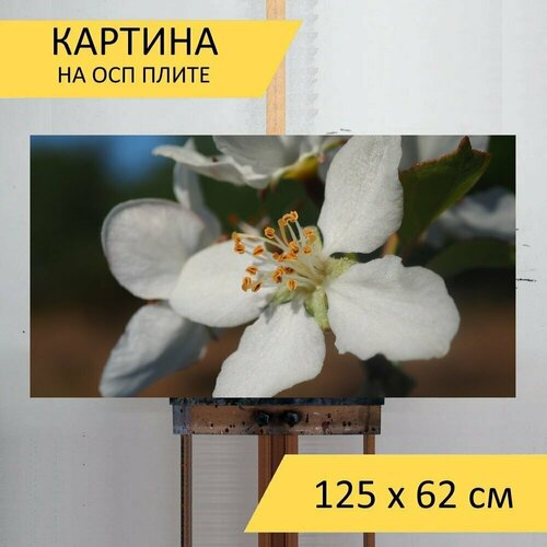 Картина на ОСП 125х62 см. "Цветок, белый, природа" горизонтальная, для интерьера, с креплениями