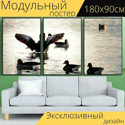 Модульный постер "Утки, птицы, водоплавающие птицы" 180 x 90 см. для интерьера
