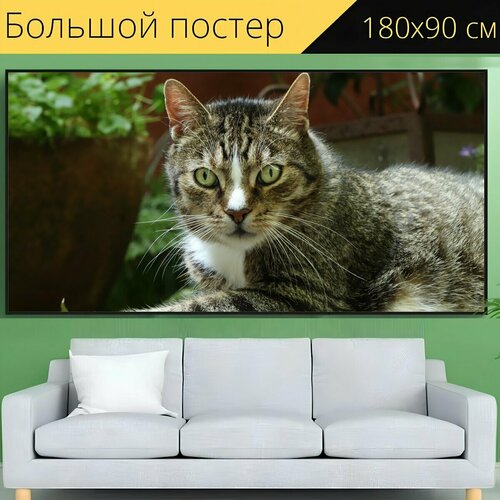 Большой постер "Кот, похмелье, домашнее животное" 180 x 90 см. для интерьера