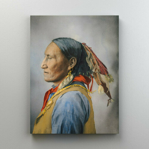 Интерьерная картина на холсте "Американские индейцы", размер 45x60 см