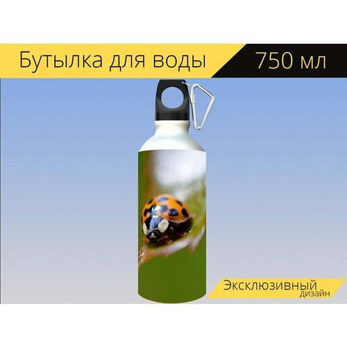 Бутылка фляга для воды "Божья коровка, закрывать, насекомое" 750 мл. с карабином и принтом