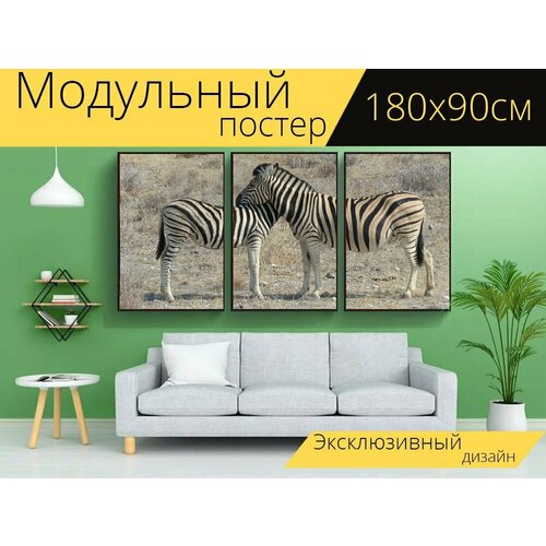 Модульный постер "Зебры, сафари, национальный парк этоша" 180 x 90 см. для интерьера