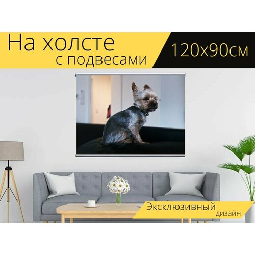 Картина на холсте "Собака, собачий, йорк" с подвесами 120х90 см. для интерьера