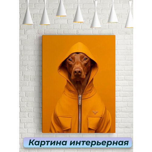 Картины для интерьера 40х60 Собака в капюшоне рыжий пес