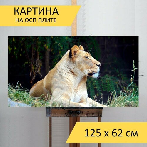 Картина на ОСП 125х62 см. "Львица, лев, тигр" горизонтальная, для интерьера, с креплениями