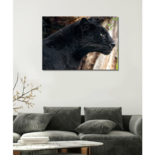 Картина/Ягур/Ягуар в джунглях/Ягуар на дереве/Черный ягуар/ - Черный ягуар (9) 60х80