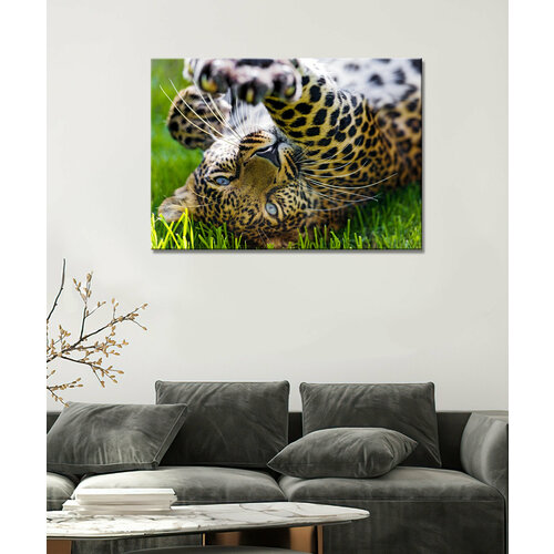 Картина/Ягур/Ягуар в джунглях/Ягуар на дереве/Черный ягуар/ - Ягуар (59) 30х40