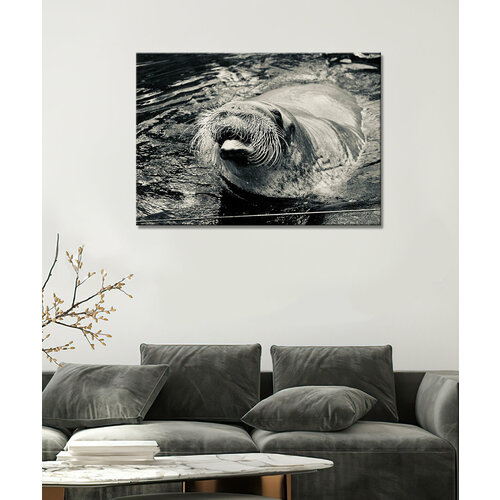 Картина - Морж, морж в воде, моржик (12) 20х30