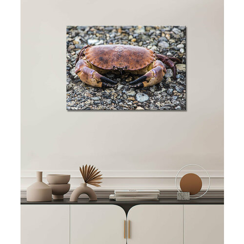 Картина - Краб, крабы, крабик, морской краб, большой сухопутный краб (1) 40х60