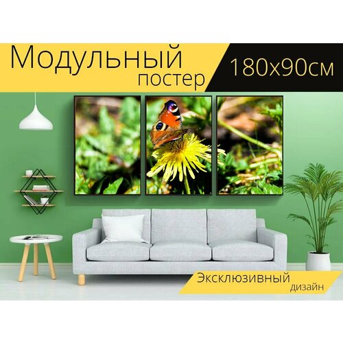Модульный постер "Крыло, красивая, насекомое" 180 x 90 см. для интерьера