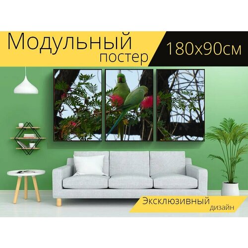 Модульный постер "Птица, попугай, зеленый" 180 x 90 см. для интерьера
