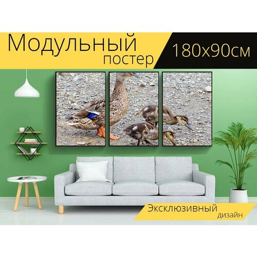 Модульный постер "Утенок, утка, животные" 180 x 90 см. для интерьера