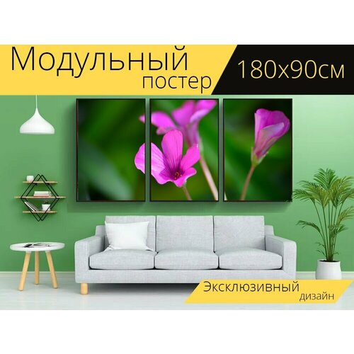 Модульный постер "Розовые цветы, цветочный, весна" 180 x 90 см. для интерьера