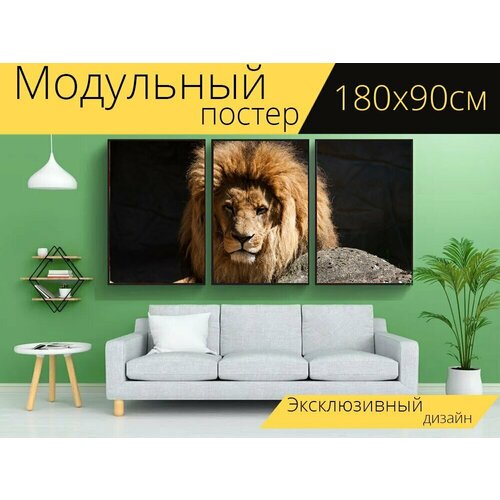 Модульный постер "Лев, хищник, мужской" 180 x 90 см. для интерьера