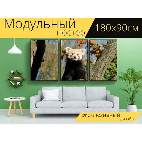 Модульный постер "Красная панда, панда, маленькая панда" 180 x 90 см. для интерьера