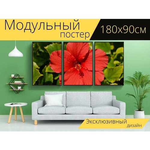 Модульный постер "Цветок, красный, природа" 180 x 90 см. для интерьера