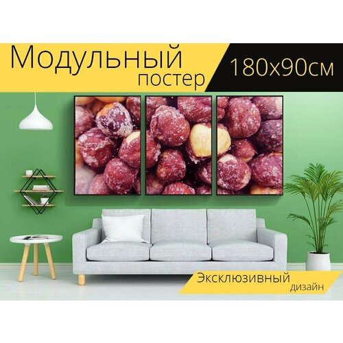 Модульный постер "Лесной орех, еда, мощность" 180 x 90 см. для интерьера
