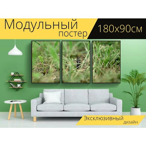 Модульный постер "Трава, стригун, жук" 180 x 90 см. для интерьера