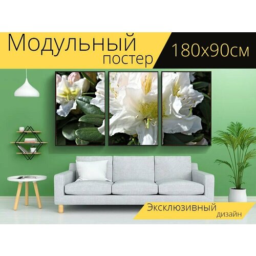 Модульный постер "Рододендрон, цветок рододендрон, цветущий кустарник" 180 x 90 см. для интерьера