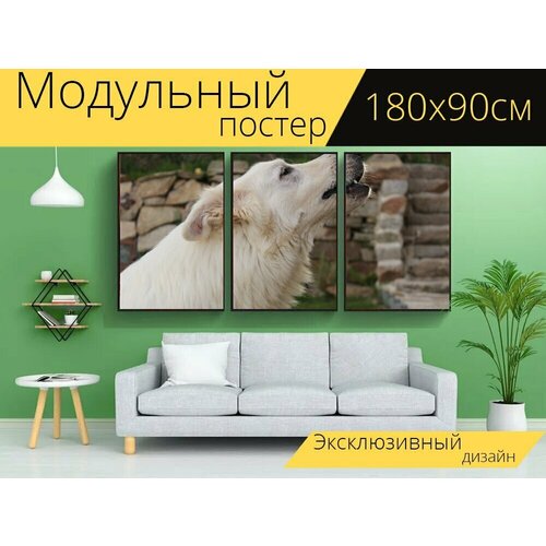 Модульный постер "Швейцарская белая овчарка, собака, животные" 180 x 90 см. для интерьера