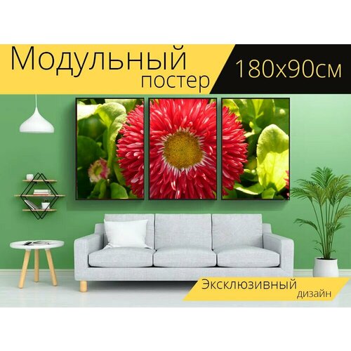 Модульный постер "Маргаритка, красный, цветок" 180 x 90 см. для интерьера