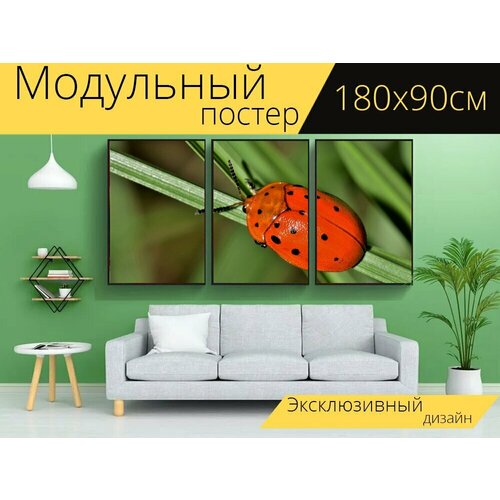 Модульный постер "Жук, жук, насекомое" 180 x 90 см. для интерьера