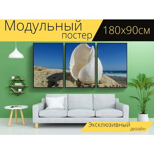 Модульный постер "Оболочка, пляж, море" 180 x 90 см. для интерьера
