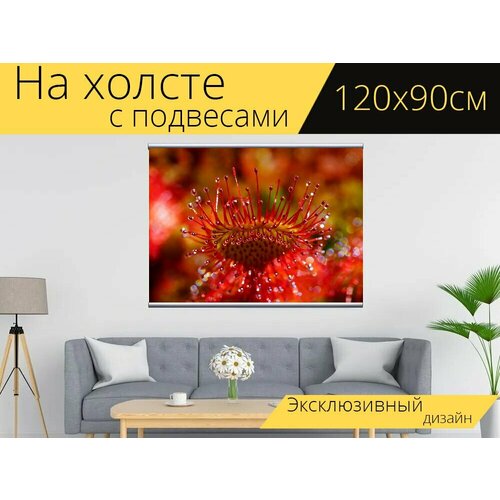 Картина на холсте "Росянка, ловить листья, около лопастной росянка" с подвесами 120х90 см. для интерьера