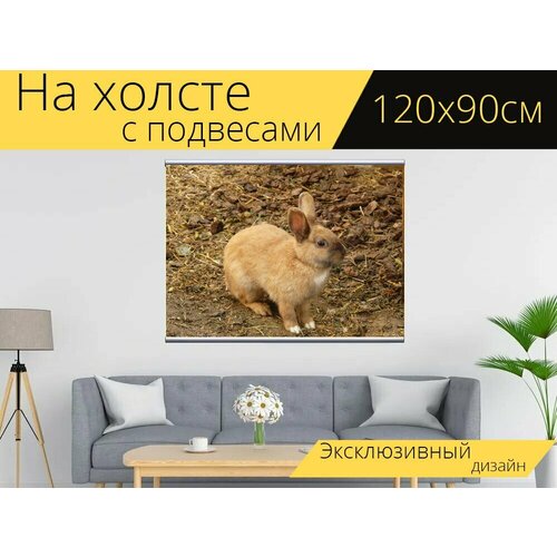 Картина на холсте "Кролик, кролики, карликовый кролик" с подвесами 120х90 см. для интерьера