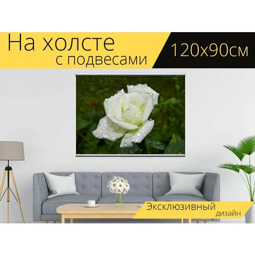 Картина на холсте "Роза, цветок, белый" с подвесами 120х90 см. для интерьера