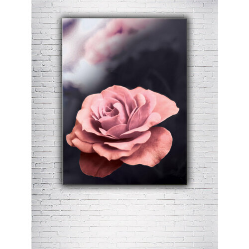 Картина/Картина на холсте/Картина на холсте для интерьера/ Картина на стену/ Картина в подарок для дома/- Пыльная роза 50х70