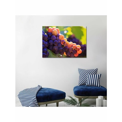 Картина на холсте с подрамником сладкий виноград 30х40