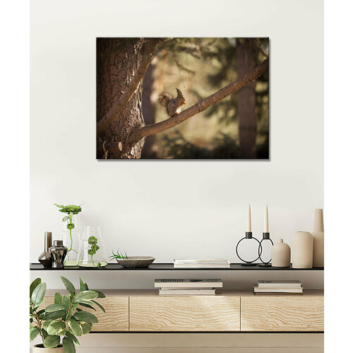 Картина - Белка, белочка, белка в лесу, белка дереве (35) 50х70