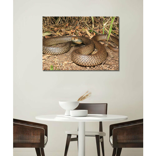 Картина - змея, сетчатая змея, коричневая змея, ядовитая змея, большая змея, кожа змеи (5) 40х60