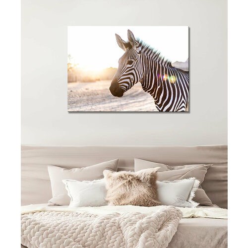 Картина - Зебра, полосатая зебра, красивая зебра, зебра в пустыне, глаза зебры (27) 60х80