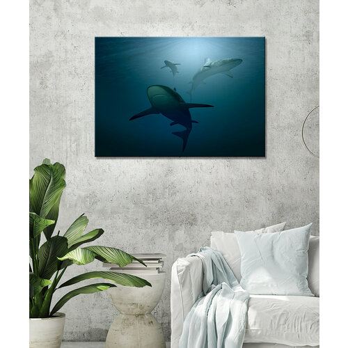 Картина - Акула, синяя акула, акула в море, акула в океане (5) 30х40