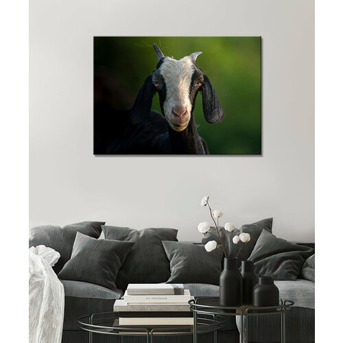 Картина - Коза, пятнистая коза, козел, пятнистый козел (13) 60х80