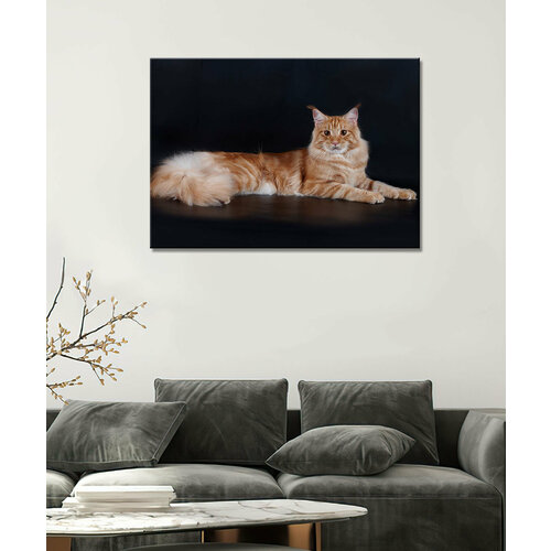 Картина - кошка, мейн-кун, домашняя кошка, ласковая кошка, кот (276) 60х80