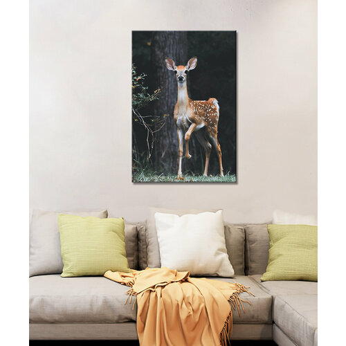 Картина - коричневая антилопа, антилопа , рога антилопы (1) 60х80