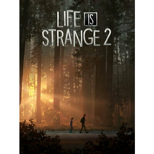 Плакат, постер на бумаге Life Is Strange 2/игровые/игра/компьютерные герои персонажи. Размер 21 х 30 см