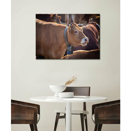 Картина -Корова, коричневая корова, корова на пастбище, бык (3) 50х70