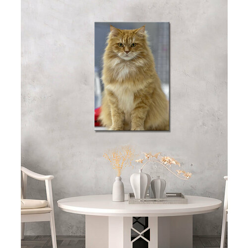 Картина - кошка, сибирская кошка, домашняя кошка, ласковая кошка, полудлинношёрстная кошка, кот (114) 40х60