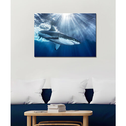 Картина -Акула, белая акула, акула в море, акула в океане (3) 20х30