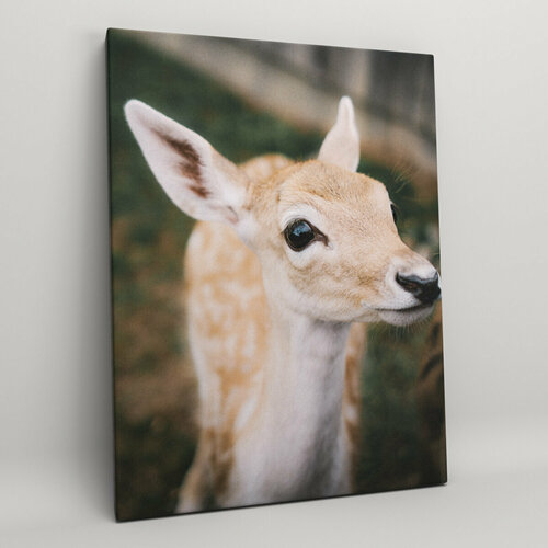 Картина на холсте (интерьерный постер) "Молодой олененок" животные, с деревянным подрамником, размер 45x60 см