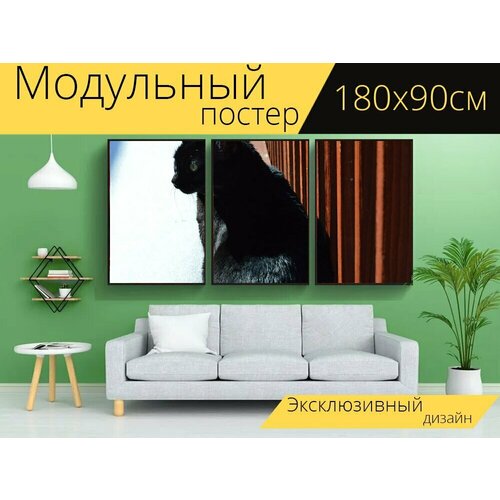 Модульный постер "Черный кот, глазеть, кошачий" 180 x 90 см. для интерьера