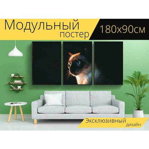 Модульный постер "Сиамская кошка, кошка, домашний питомец" 180 x 90 см. для интерьера