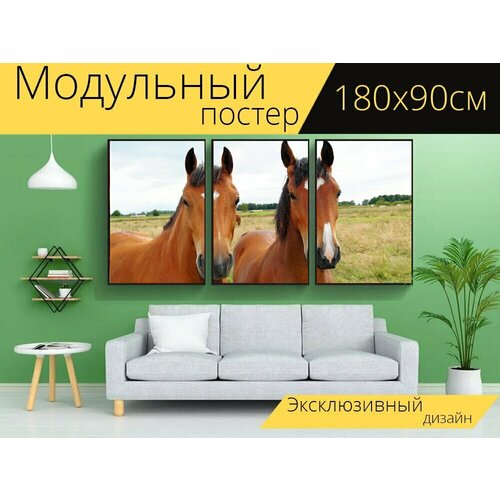 Модульный постер "Лошади, лошадиные головы, портреты" 180 x 90 см. для интерьера