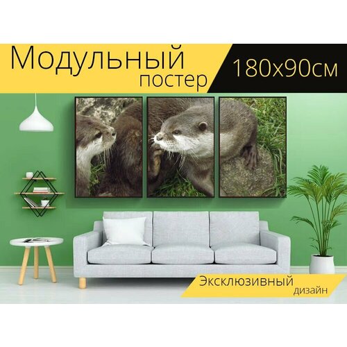Модульный постер "Выдра, куница, зоопарк" 180 x 90 см. для интерьера