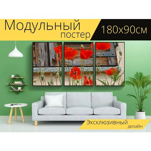 Модульный постер "Цветы, маки, природа" 180 x 90 см. для интерьера