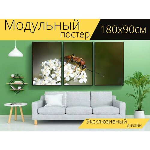 Модульный постер "Жук, насекомое, жук" 180 x 90 см. для интерьера